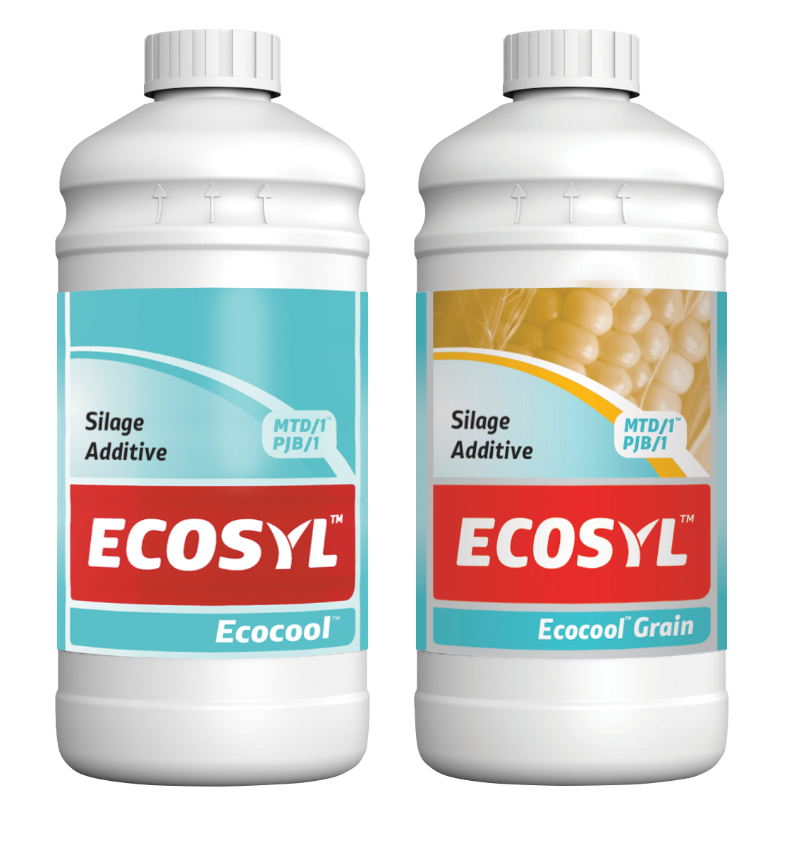 Ecocool Corn - Silage Additive For Maize - Ecosyl